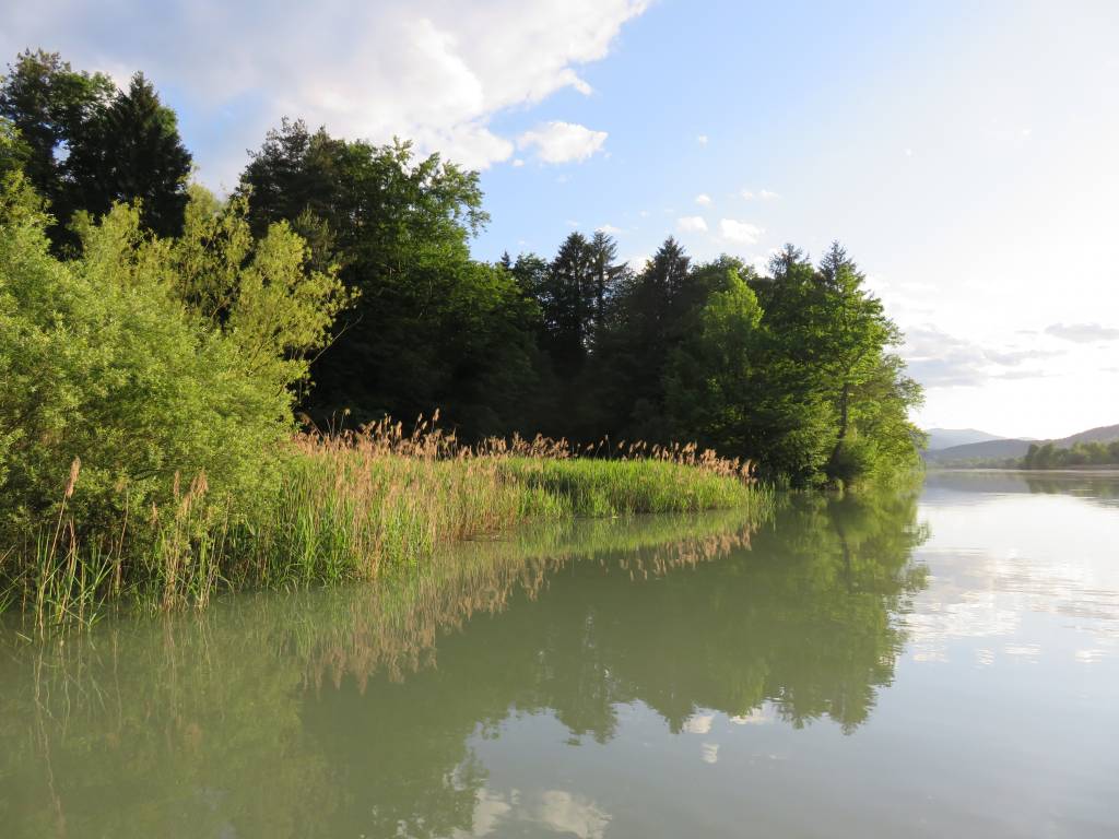 Reka Drava (od HE Fala do HE Mariborski otok) - Ribiška družina Ruše ...