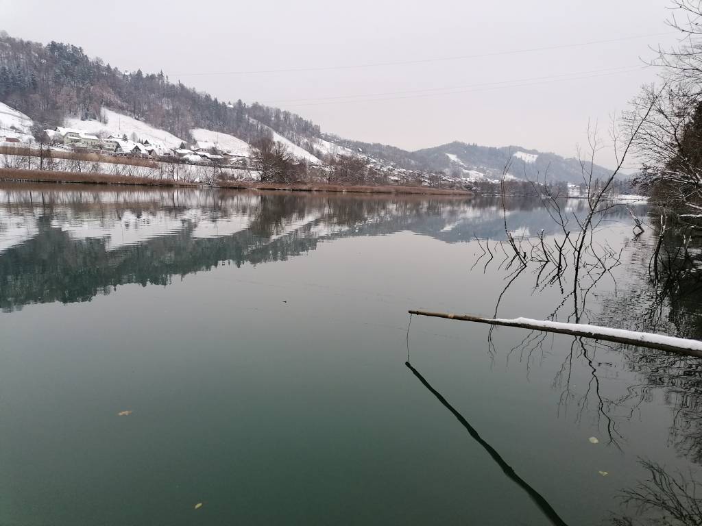 Reka Drava (od HE Fala do HE Mariborski otok) - Ribiška družina Ruše ...