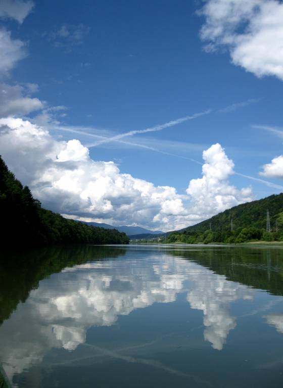 Reka Drava (od HE Fala do HE Mariborski otok) - Ribiška družina Ruše ...