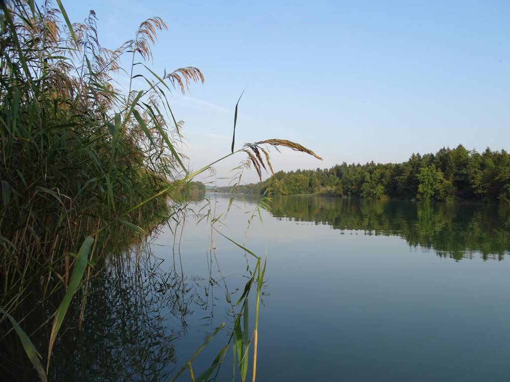 Reka Drava (od HE Fala do HE Mariborski otok) - Ribiška družina Ruše ...