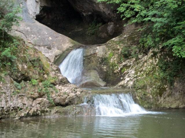 Potok Gračnica - Ribiška družina Laško - Spletni nakup ribolovnih ...