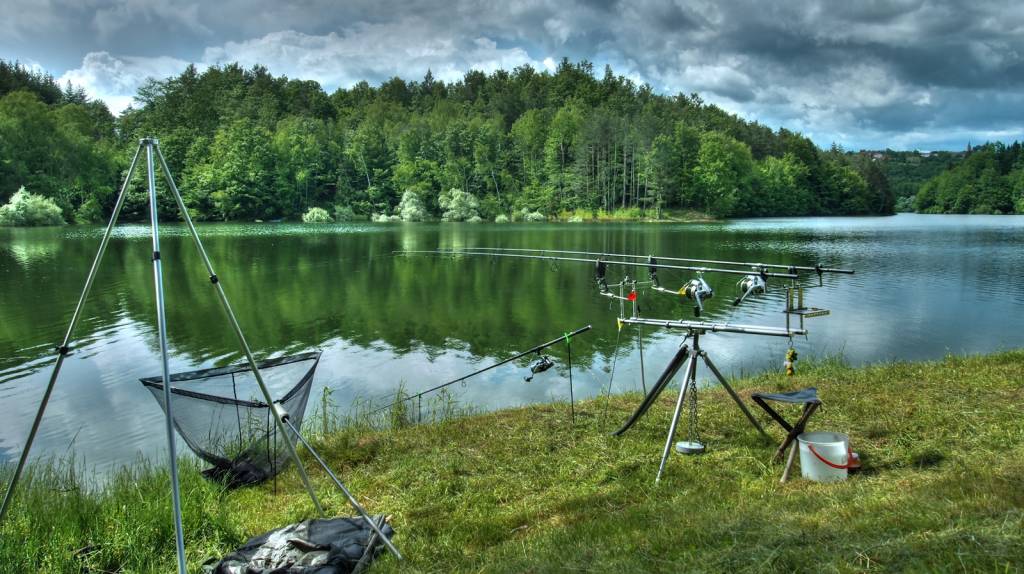 Jezero Mola - Ribiška družina Bistrica - Spletni nakup ribolovnih ...