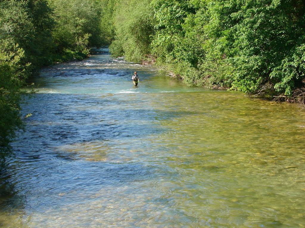 Reka Kokra - Ribiška družina Kranj - Spletni nakup ribolovnih ...