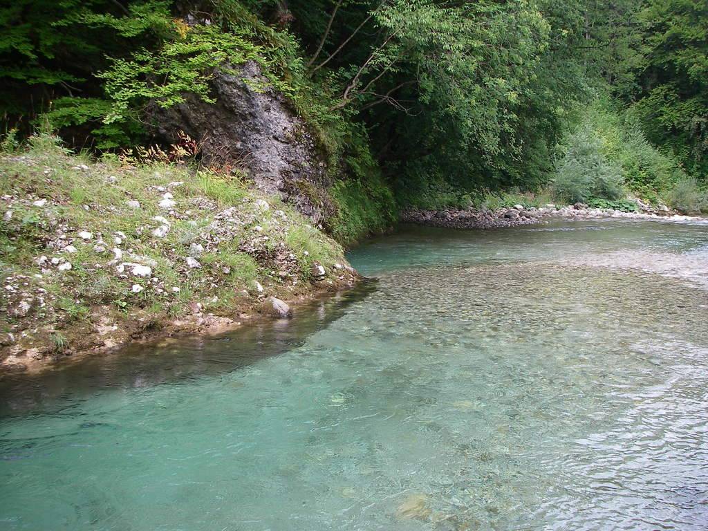 Reka Kokra - Ribiška družina Kranj - Spletni nakup ribolovnih ...