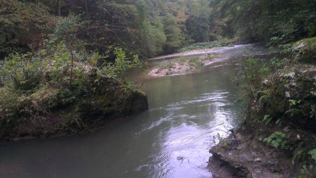 Reka Kokra - Ribiška družina Kranj - Spletni nakup ribolovnih ...