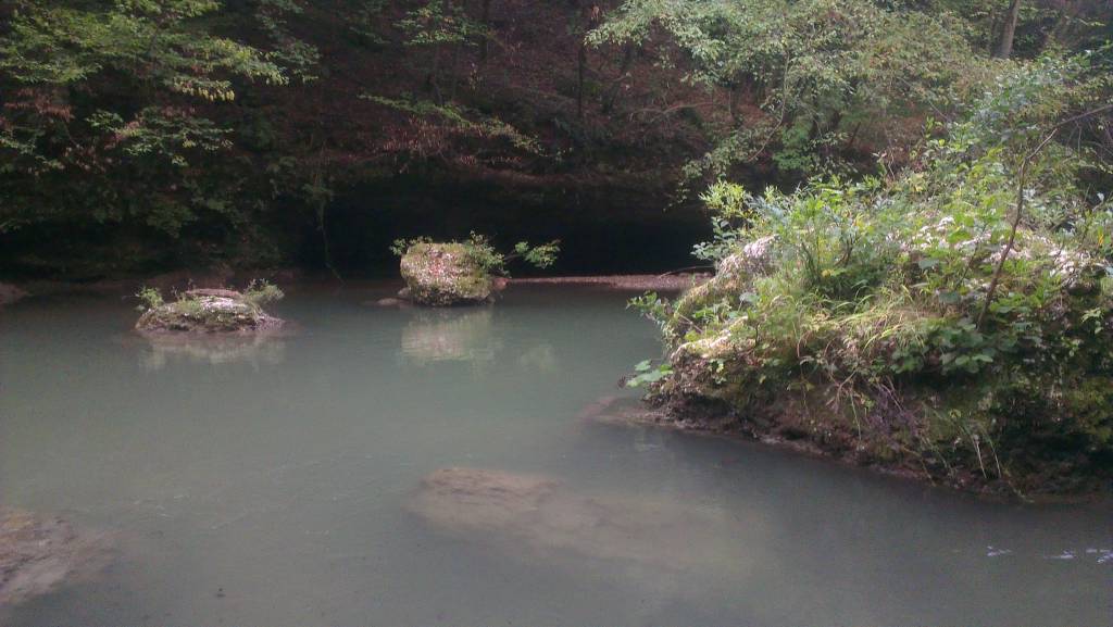 Reka Kokra - Ribiška družina Kranj - Spletni nakup ribolovnih ...