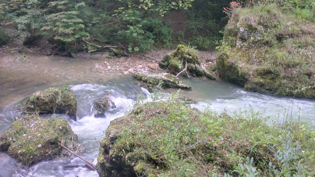 Reka Kokra - Ribiška družina Kranj - Spletni nakup ribolovnih ...