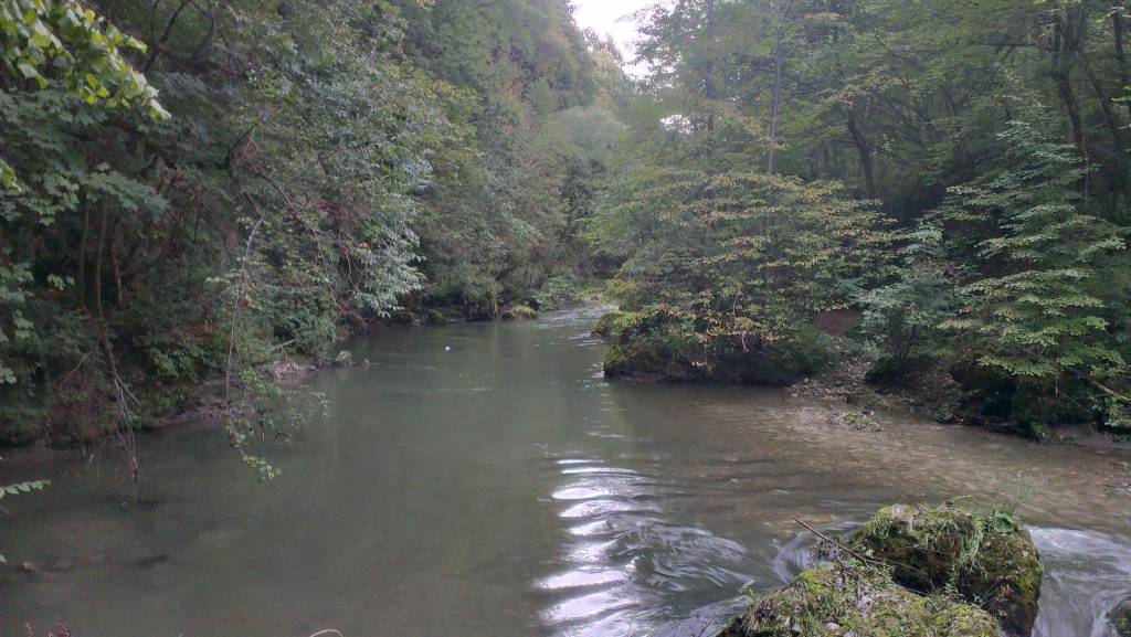 Reka Kokra - Ribiška družina Kranj - Spletni nakup ribolovnih ...