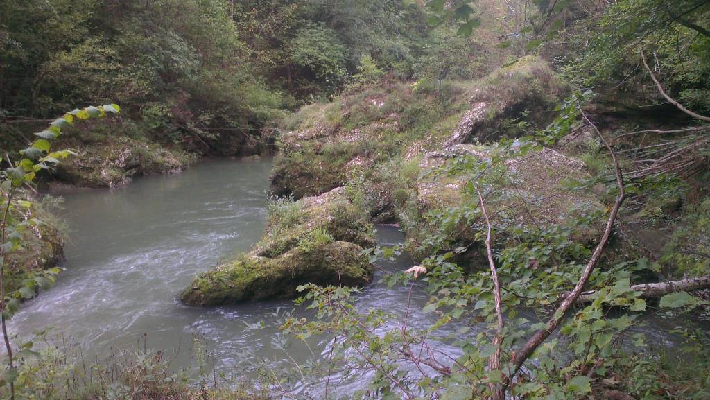 Reka Kokra - Ribiška družina Kranj - Spletni nakup ribolovnih ...