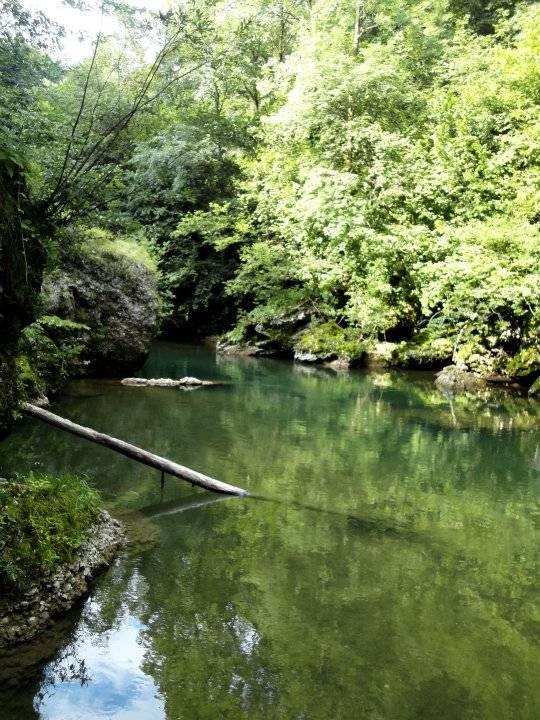 Reka Kokra - Ribiška družina Kranj - Spletni nakup ribolovnih ...