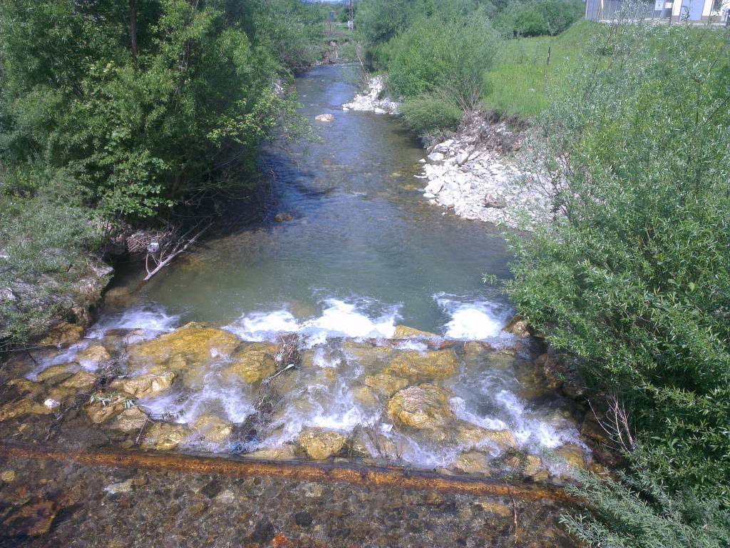 Reka Mislinja (od izvira do mostu v Šmartnem pri SG) - Ribiška družina ...