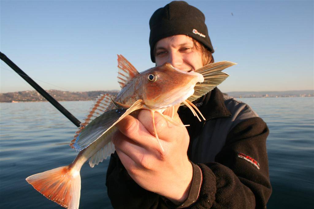 Morje Slovenije (morski ribolov) - Upravljavec Zveza za športni ribolov ...