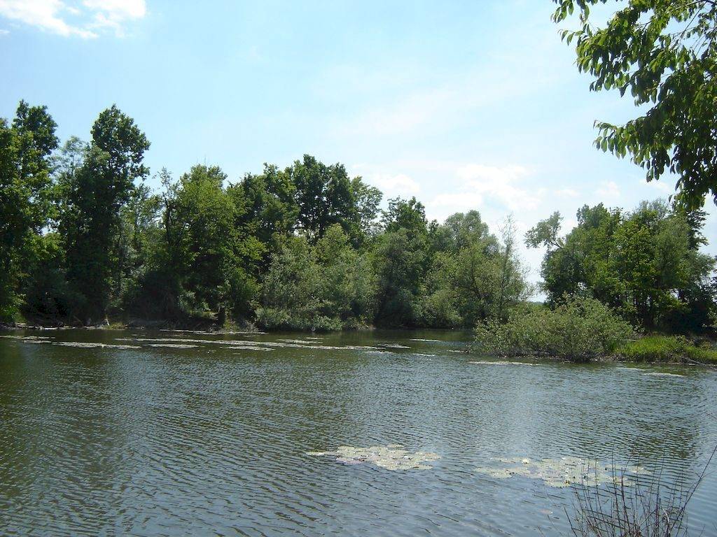 Gramoznica Murski Črnci (091) - Ribiška družina Radgona - Spletni nakup ...