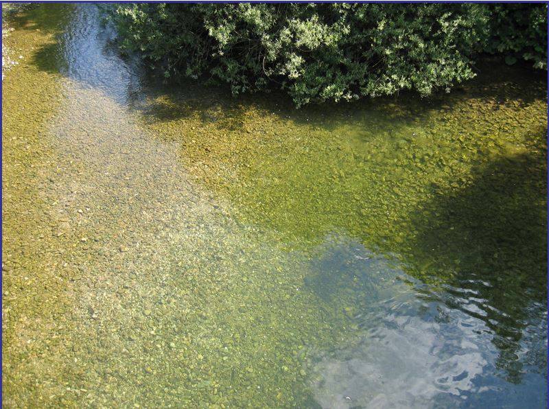 Reka Poljanska Sora (od mlina pri Sopovtu do mostu pri cerkvi Sv ...