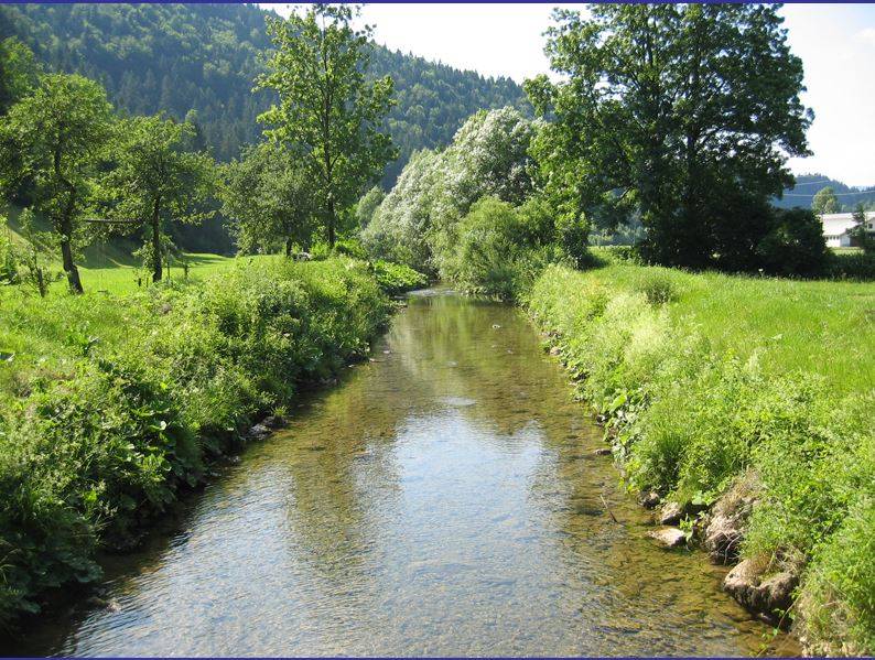 Reka Poljanska Sora (od mlina pri Sopovtu do mostu pri cerkvi Sv ...