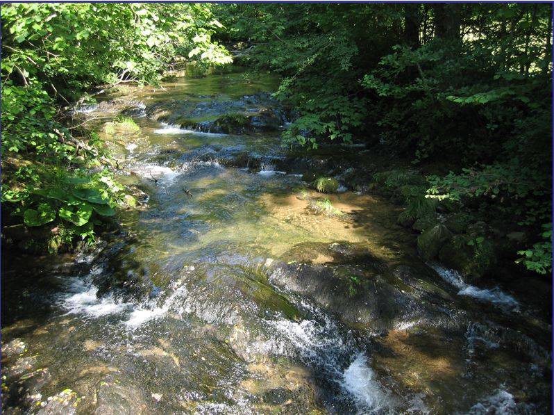 Reka Poljanska Sora (od mlina pri Sopovtu do mostu pri cerkvi Sv ...
