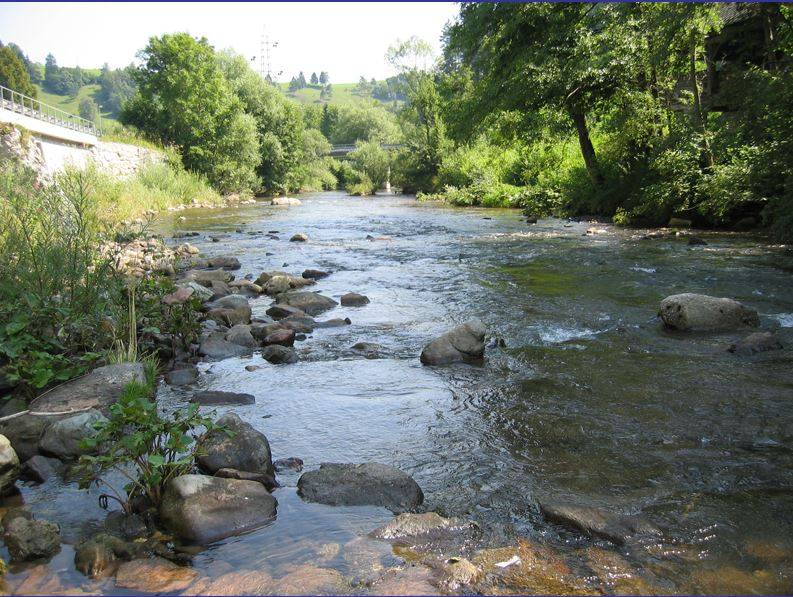 Reka Poljanska Sora (od mostu pri cerkvi Sv. Martina do jezu v ...