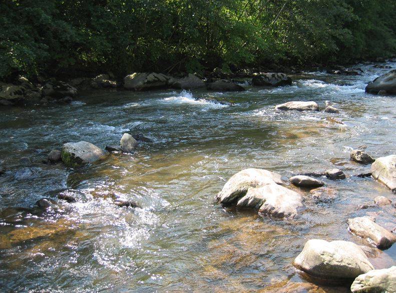 Reka Poljanska Sora (od mostu pri cerkvi Sv. Martina do jezu v ...