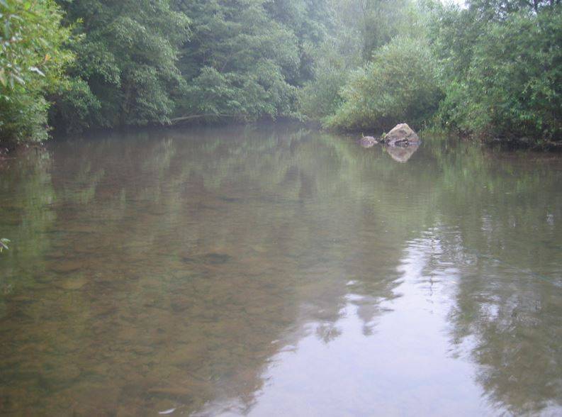Reka Poljanska Sora (od mostu pri cerkvi Sv. Martina do jezu v ...