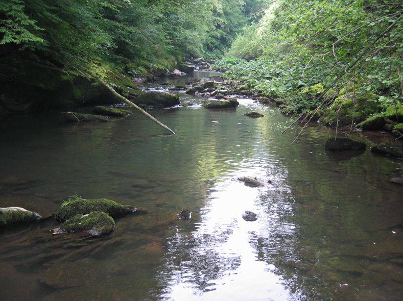 Reka Poljanska Sora (od mostu pri cerkvi Sv. Martina do jezu v ...