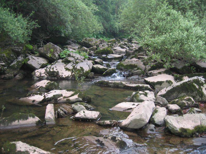 Reka Poljanska Sora (od mostu pri cerkvi Sv. Martina do jezu v ...