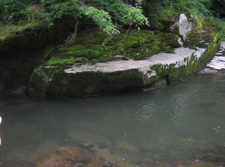 Reka Poljanska Sora (od mostu pri cerkvi Sv. Martina do jezu v ...