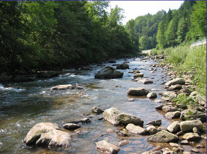 Reka Poljanska Sora (od mostu pri cerkvi Sv. Martina do jezu v ...