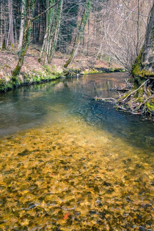 Potok Želimeljščica (od domačije Žumer pod Turjaškim gradom do izliva v ...