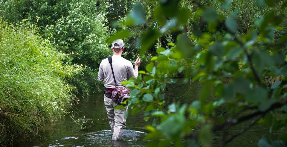 Reka Bistrica (od mostu v Globeli do ponora v Goriči vasi) - Ribiška ...