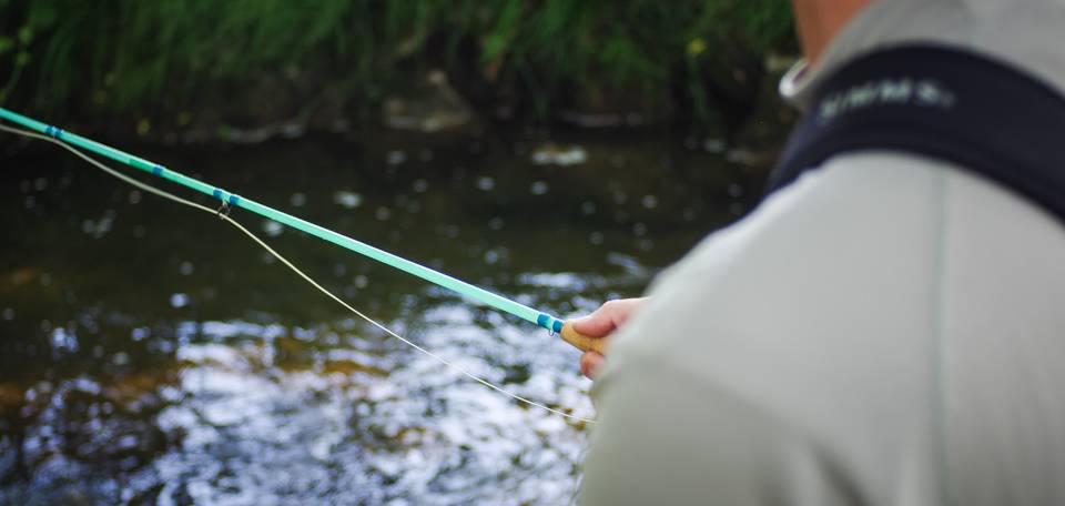 Reka Bistrica (od mostu v Globeli do ponora v Goriči vasi) - Ribiška ...