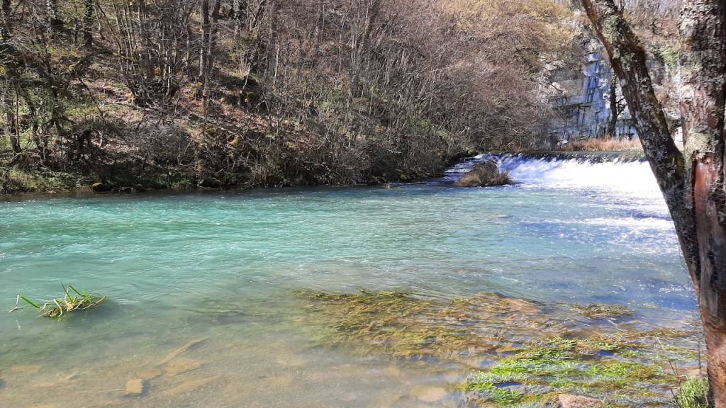 Reka Krupa - Ribiška družina Metlika - Spletni nakup ribolovnih ...