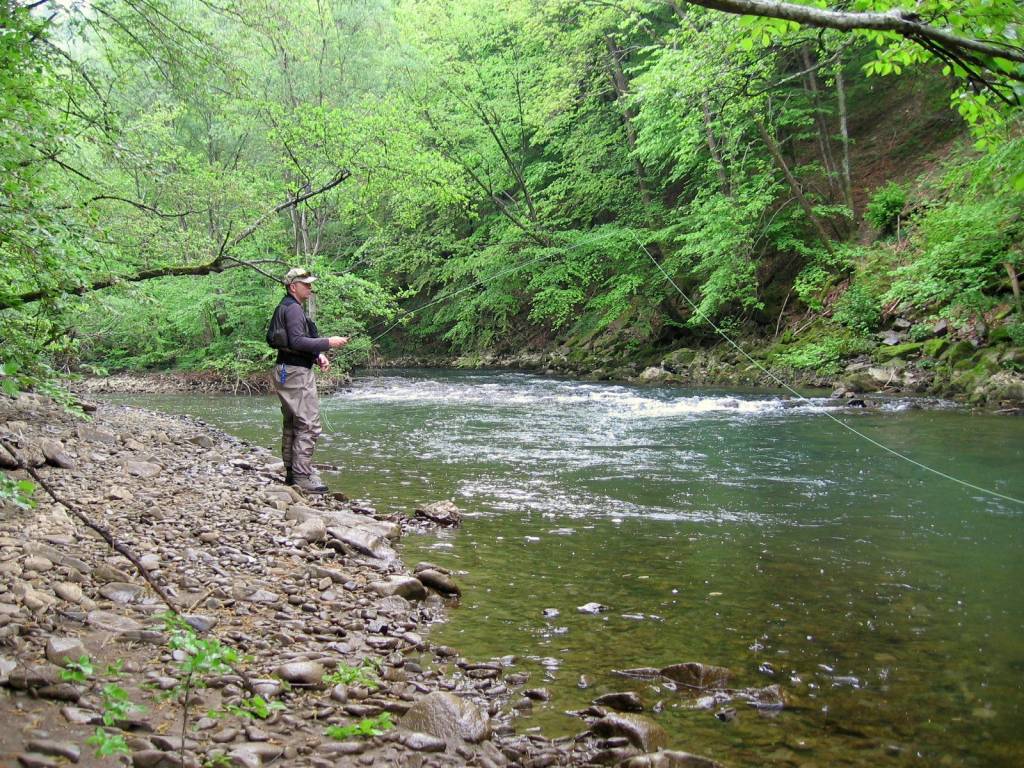 Reka Reka s pritoki - Ribiška družina Bistrica - Spletni nakup ...