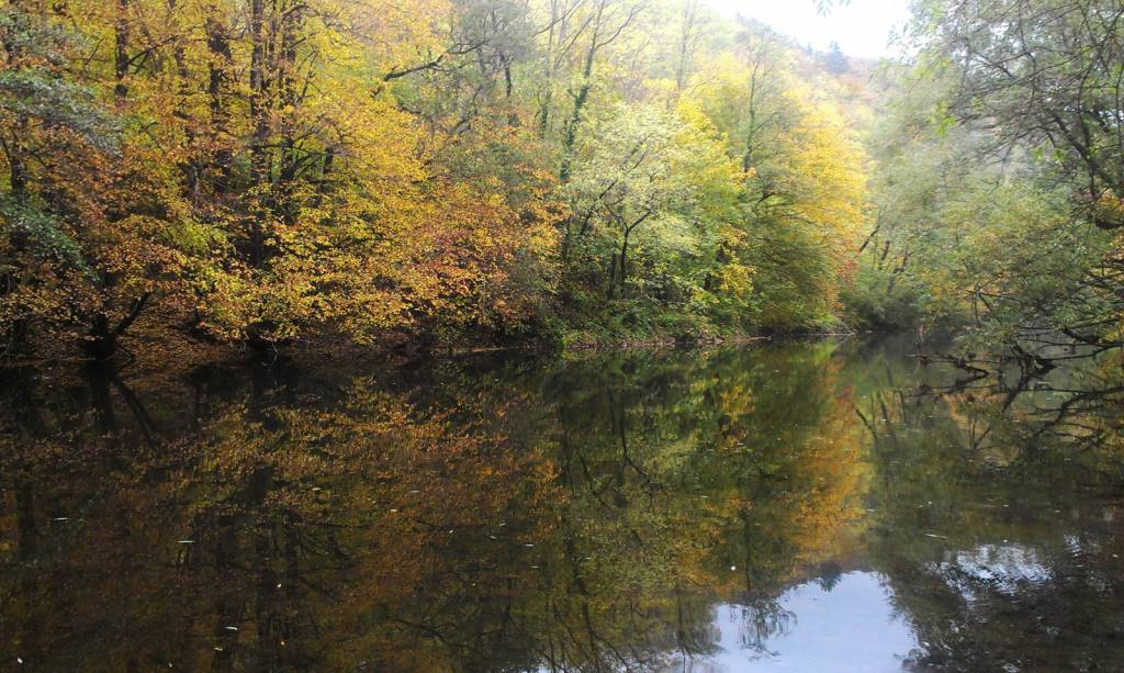 Reka Reka s pritoki - Ribiška družina Bistrica - Spletni nakup ...