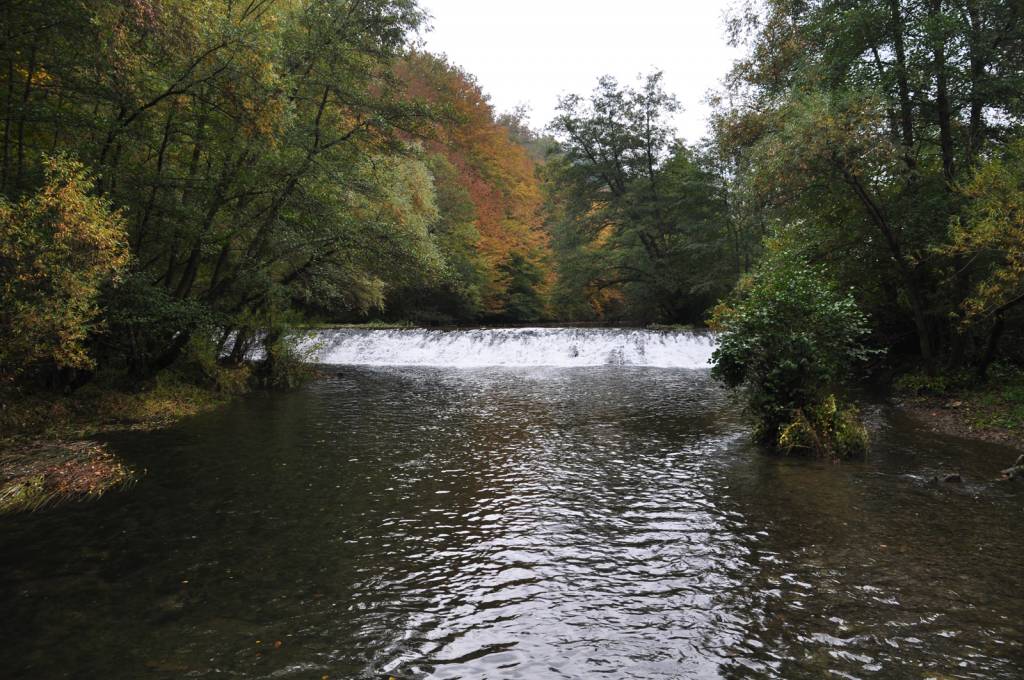 Reka Reka s pritoki - Ribiška družina Bistrica - Spletni nakup ...