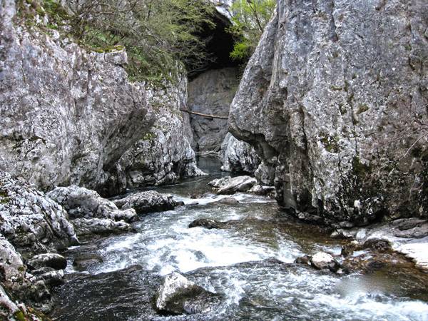 Reka Reka s pritoki - Ribiška družina Bistrica - Spletni nakup ...