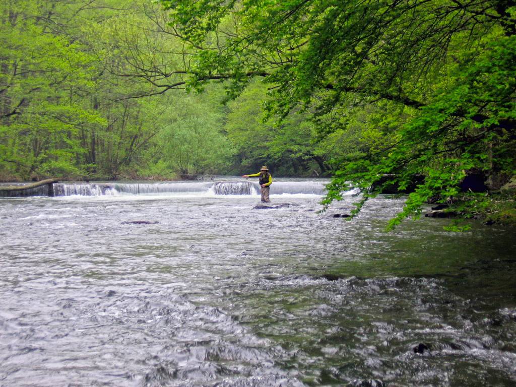 Reka Reka s pritoki - Ribiška družina Bistrica - Spletni nakup ...