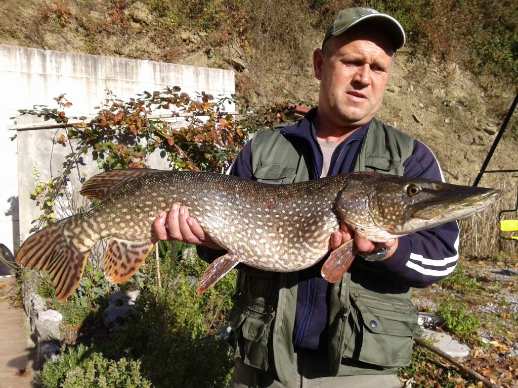 Reka Reka s pritoki - Ribiška družina Bistrica - Spletni nakup ...