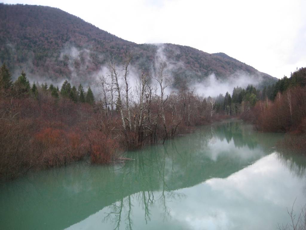 Reka Ribnica (od izvira do ponora) - Ribiška družina Ribnica - Spletni ...