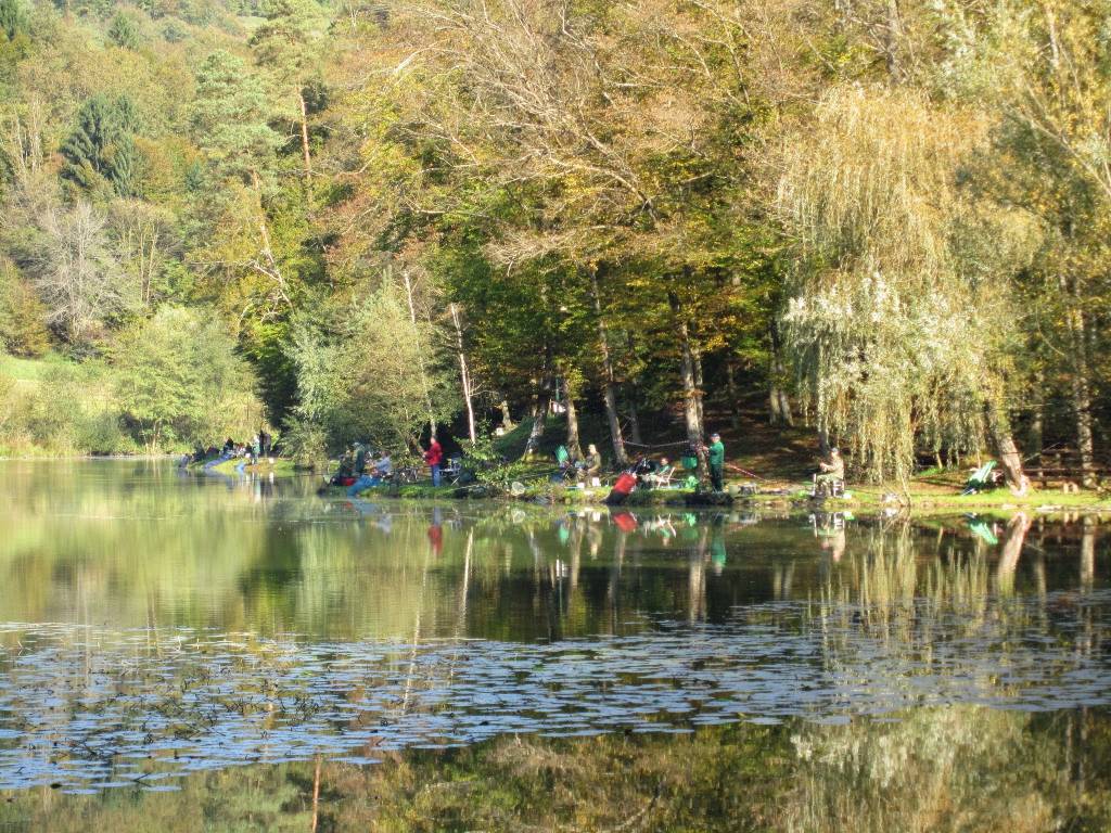 Ribnik Mačkovec (Brestanica) - Ribiška družina Brestanica-Krško ...