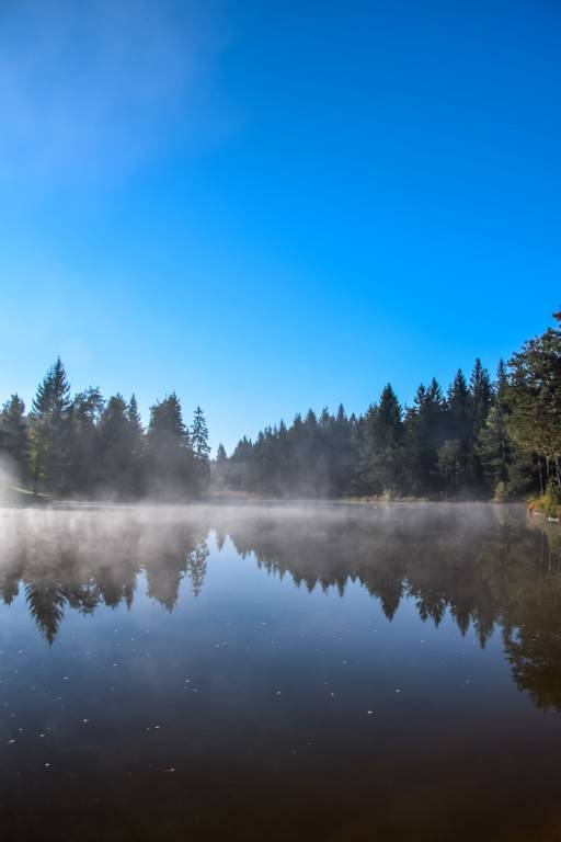 Il lago Rakitna - Le associazioni di pescatori Barje - La più grande ...
