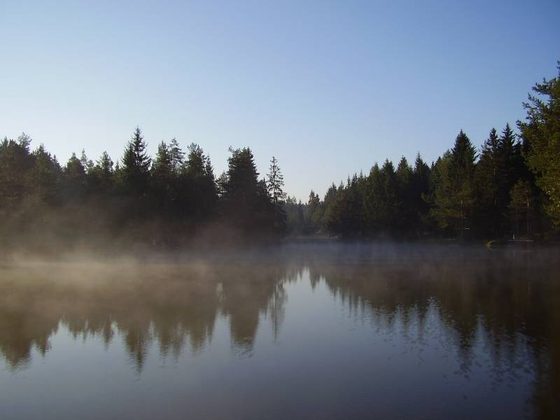 Jezero Rakitna - Ribiška družina Barje - Spletni nakup ribolovnih ...