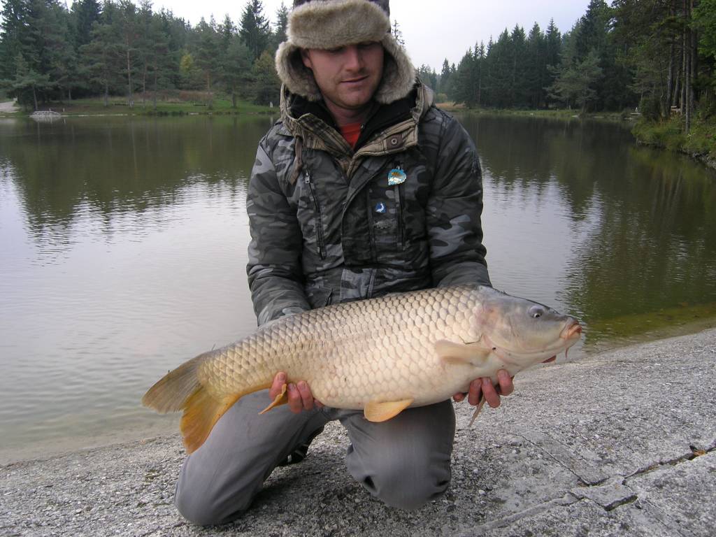 Jezero Rakitna - Ribiška družina Barje - Spletni nakup ribolovnih ...