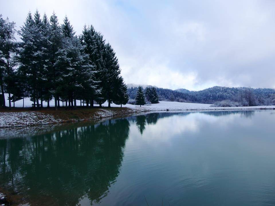 Ribnik Smrekovec - Ribiška družina Ribnica - Spletni nakup ribolovnih ...