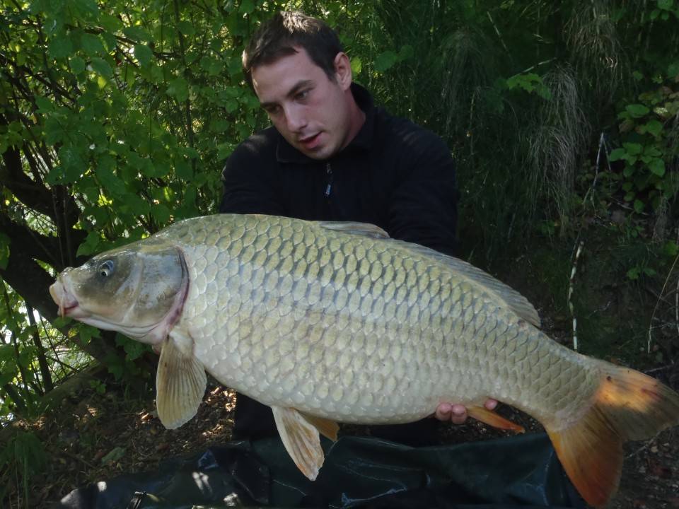 Ribniki Opekarna (Divjak) - Ribiška družina Vrhnika - Spletni nakup ...