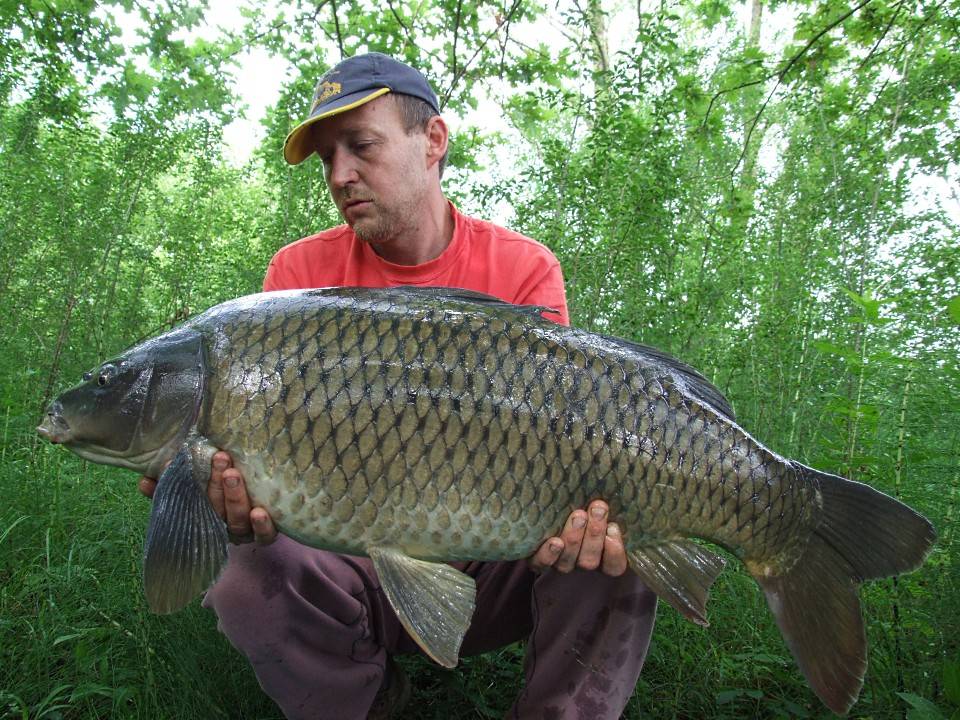 Ribniki Opekarna (Divjak) - Ribiška družina Vrhnika - Spletni nakup ...