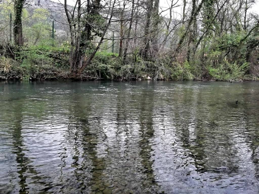 Reka Rižana - Ribiška družina Koper - Spletni nakup ribolovnih ...
