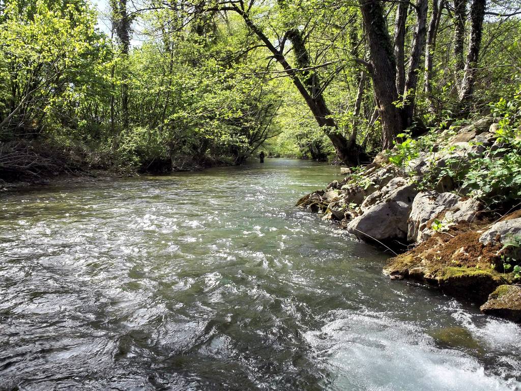 Reka Rižana - Ribiška družina Koper - Spletni nakup ribolovnih ...