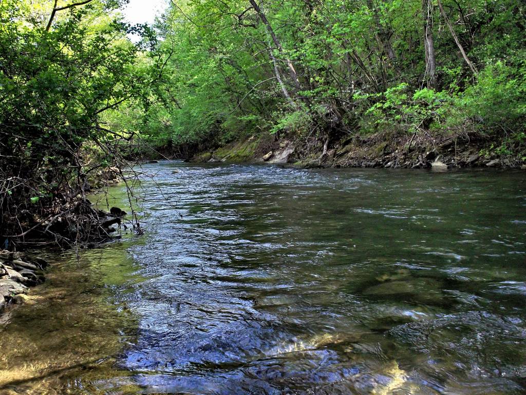 Reka Rižana - Ribiška družina Koper - Spletni nakup ribolovnih ...