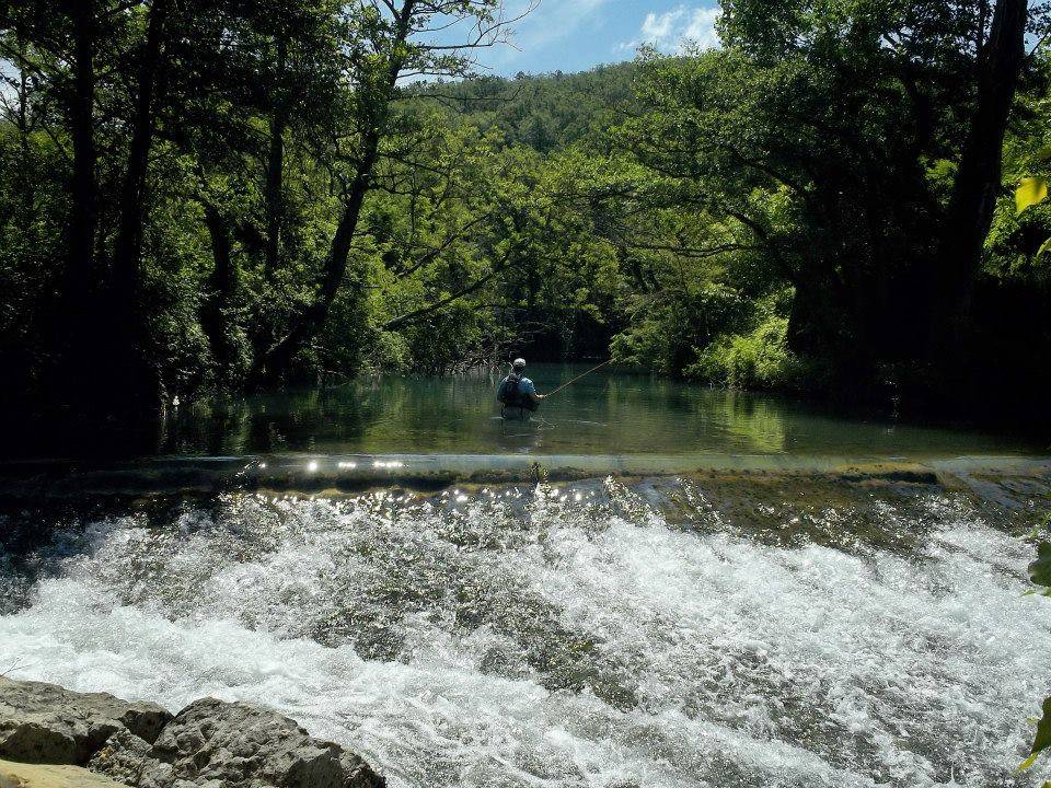 Reka Rižana - Ribiška družina Koper - Spletni nakup ribolovnih ...