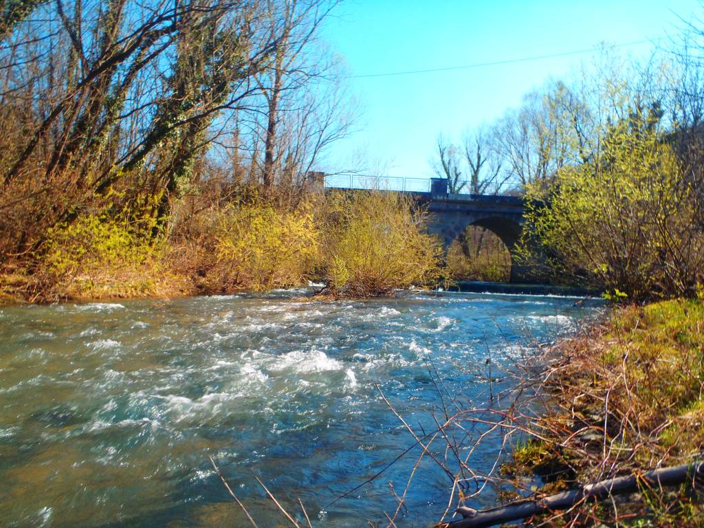 Reka Rižana - Ribiška družina Koper - Spletni nakup ribolovnih ...